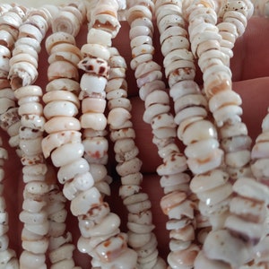 Puka Shell, Vary Size Nature Tiger Puka Shell Beads, 15.5 Inch - Etsy