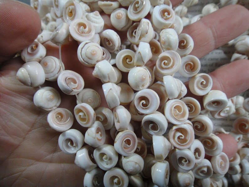 Puka Shell Side Drilled Hole 10mm Natural Puka Shell Beads | Etsy