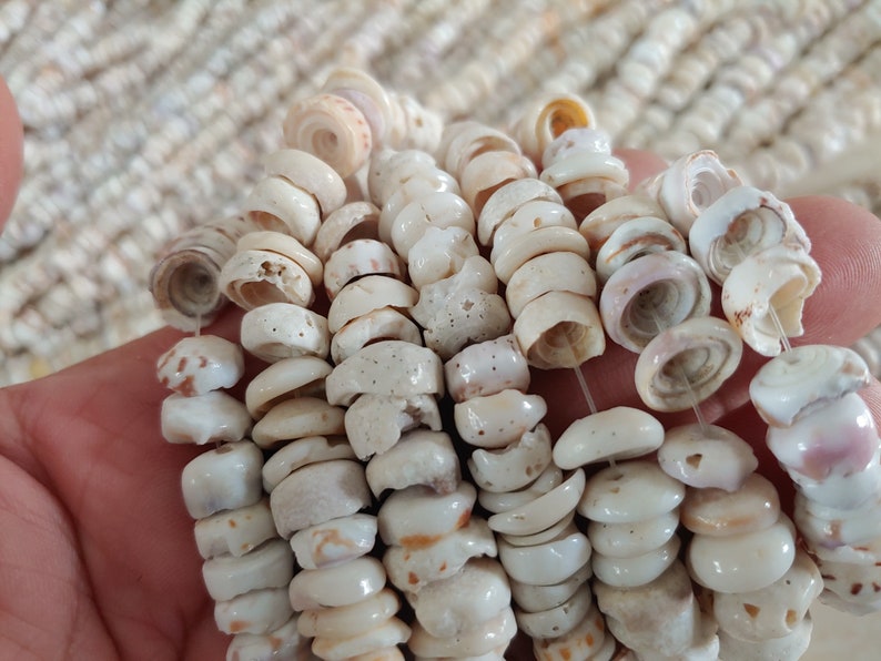 Puka Shell, Vary Size Nature Tiger Puka Shell Beads, 15.5 Inch - Etsy