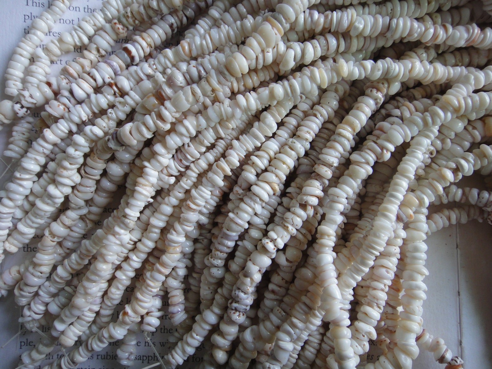 Puka Shell, 6mm Natural Puka Shell Beads, 16" Strand Long. - Etsy