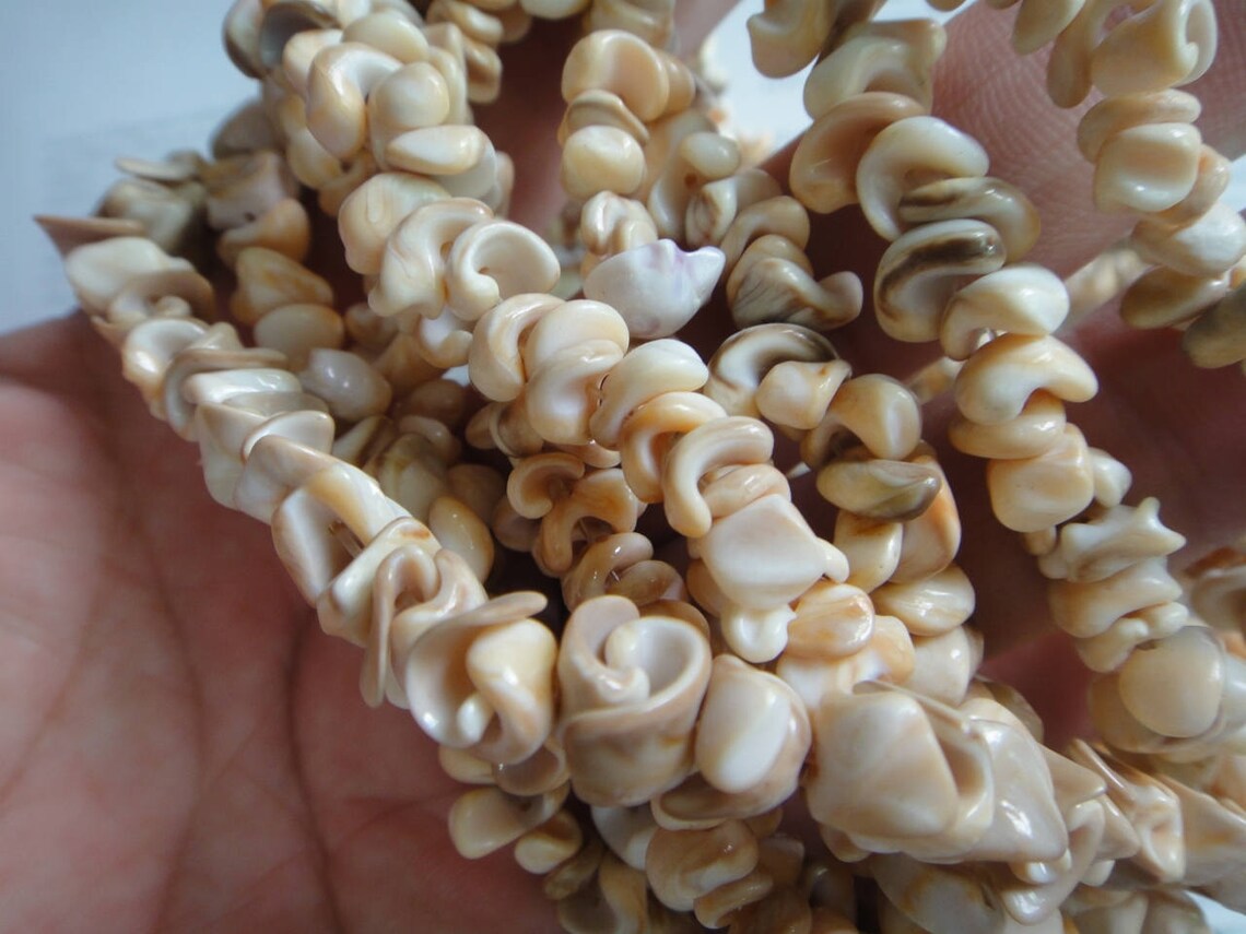 Puka Craft Shell Natural Sea Shell Beads Original Color | Etsy