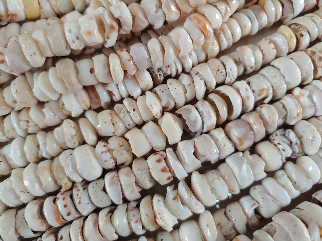 Puka Shell, Vary Size Nature Tiger Puka Shell Beads, 15.5 Inch - Etsy