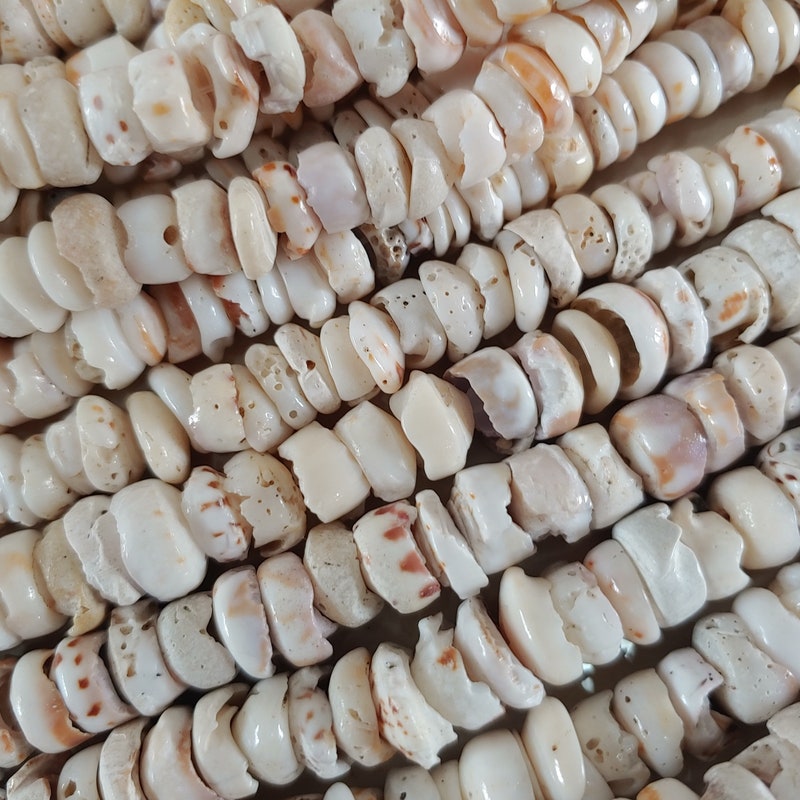 Puka Shells - Etsy