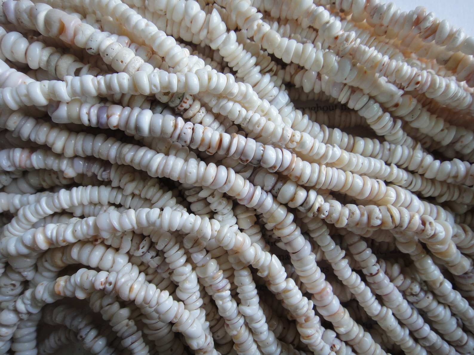 Puka shell 6mm natural puka shell beads 16 strand | Etsy