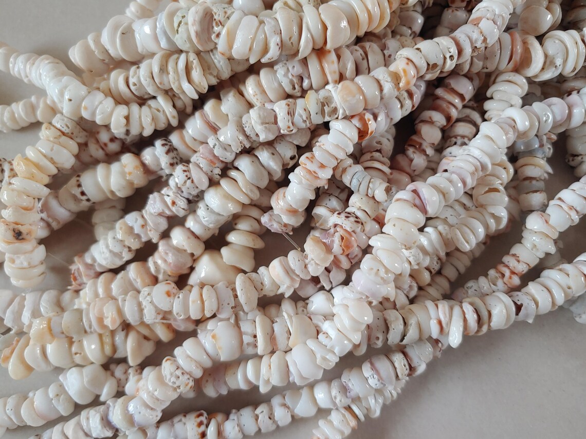 Puka Shell, 7-8mm Natural Tiger Puka Shell Beads, 16" Strand Long. - Etsy