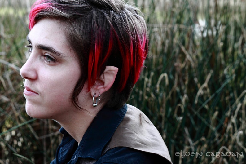 Custom Painted Elf Ears for Halfling Hobbit Arwen Lord of the Rings ...