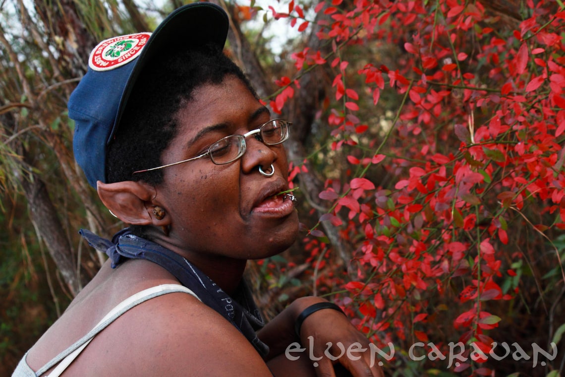 Custom Painted Elf Ears for Vulcan Spock Space Alien Hobbit | Etsy