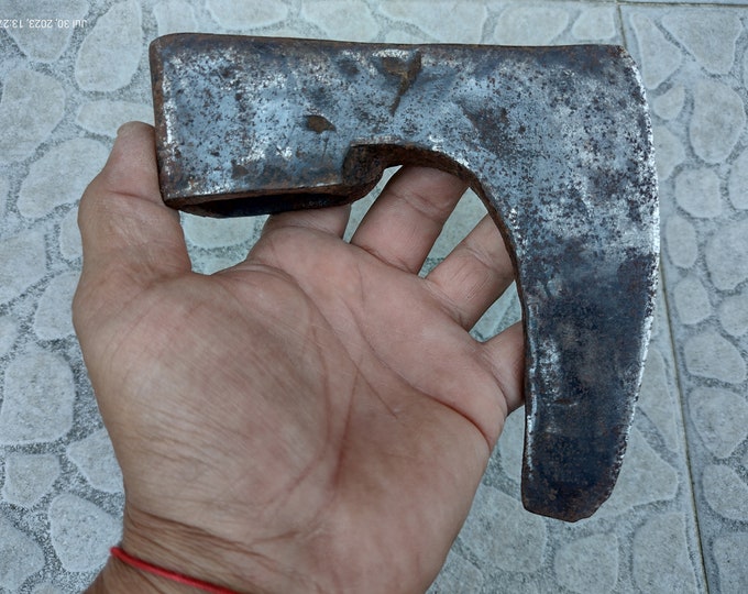 3.33 Lbs Signed Gewerkschaft Cm Seebach Rare German Bearded Hewing ...