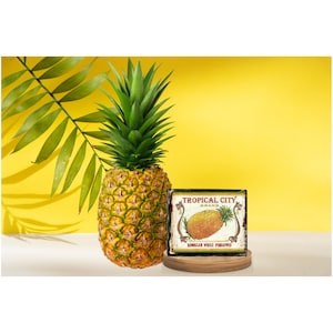 Vintage Pineapple Decor/ Sign Pineapple Tiered Tray - Etsy