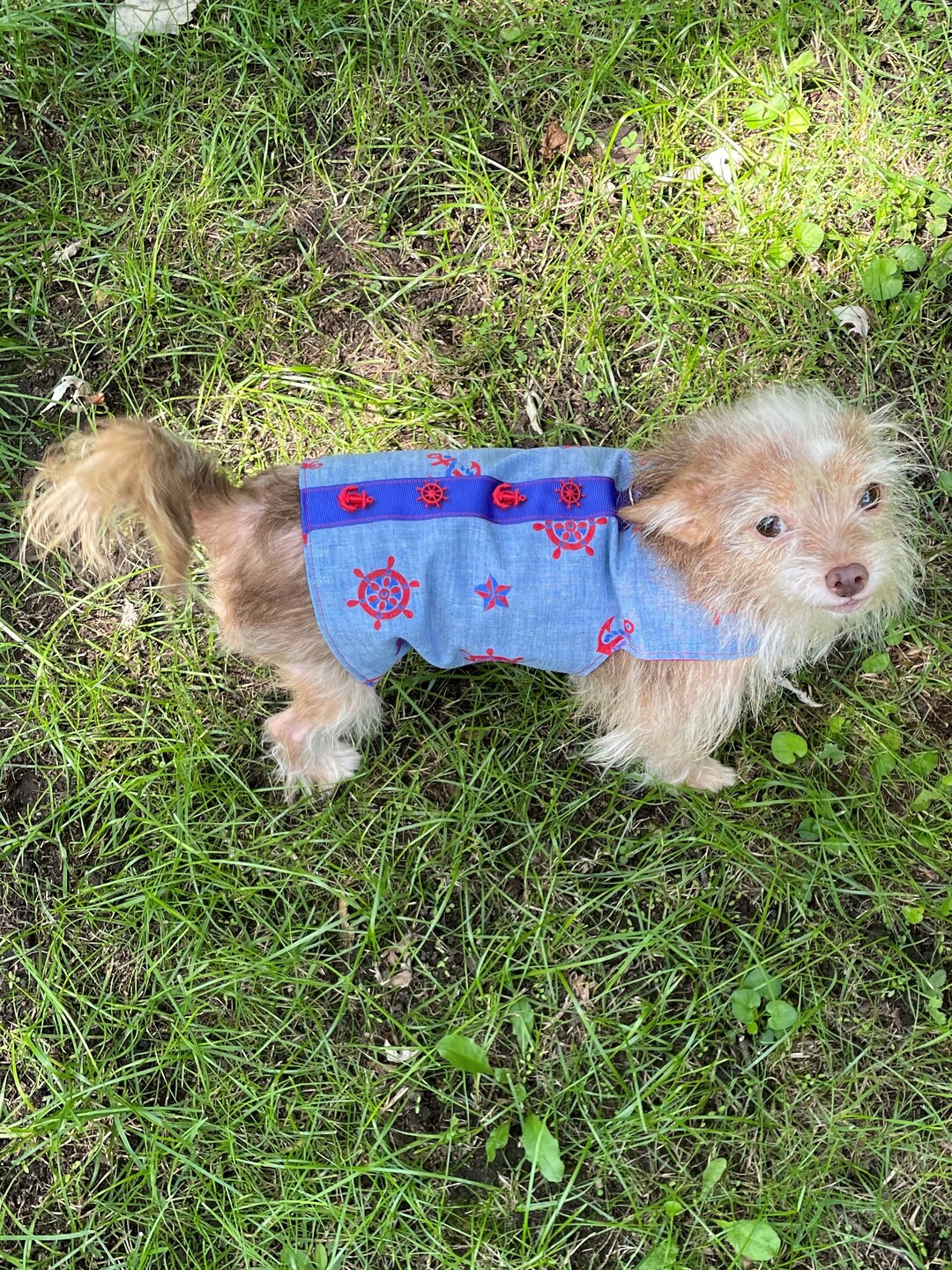 Blue and Red Print With Anchors and Boat Steering Wheels on It. Has ...