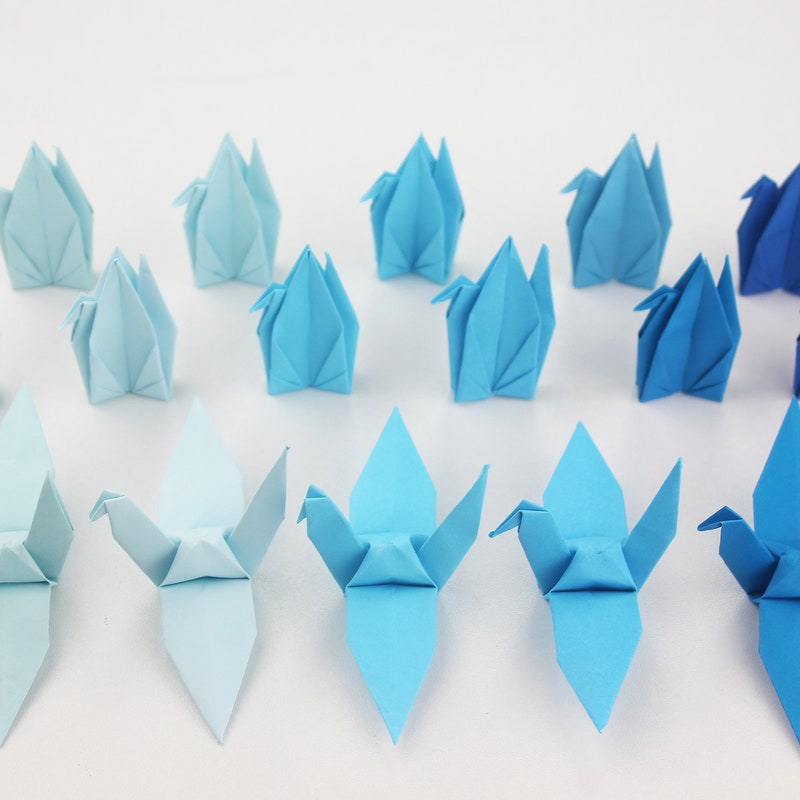 Blue Crane - Etsy