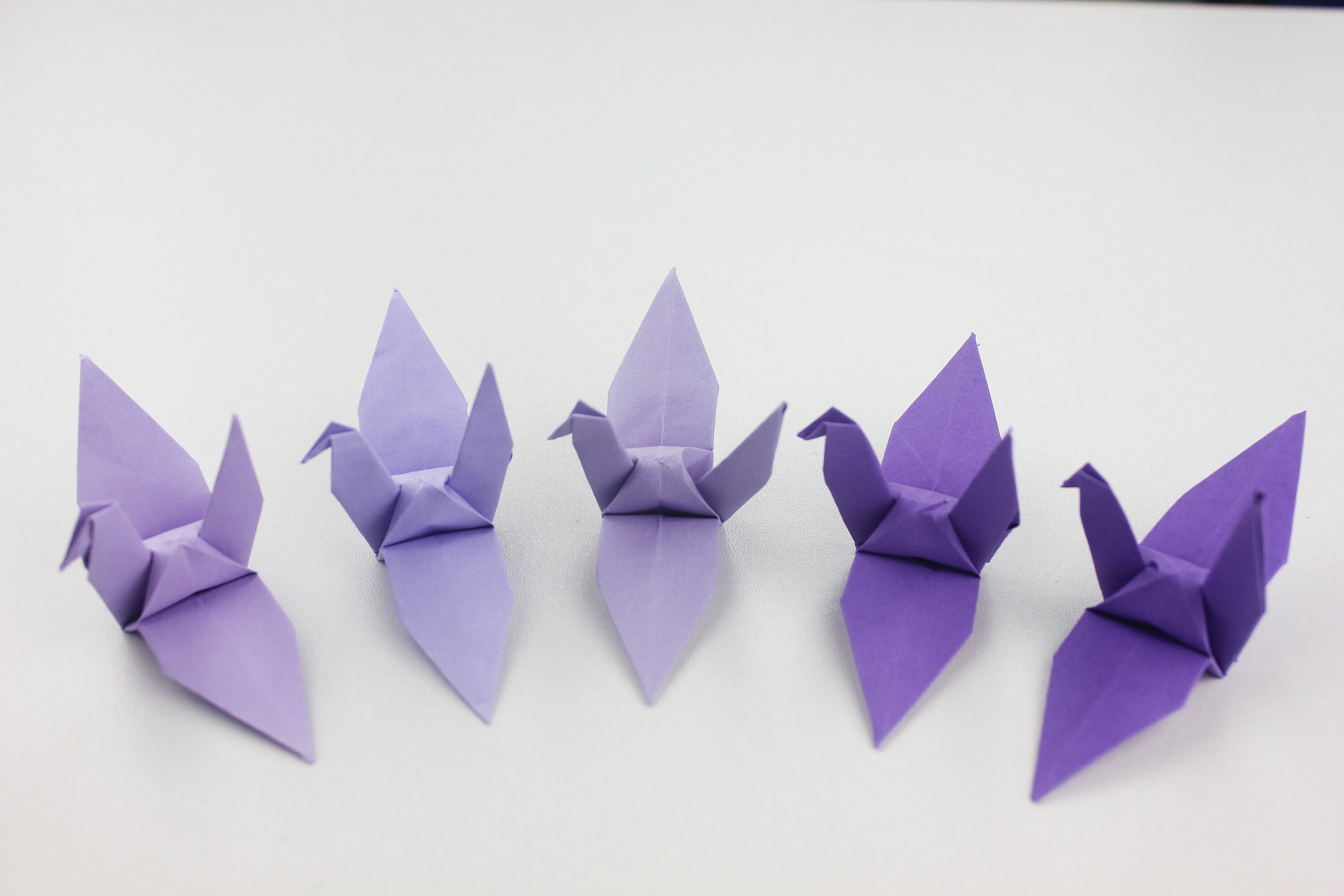 100 Purple Gradation Tones Origami Paper Cranes Purple Shades - Etsy