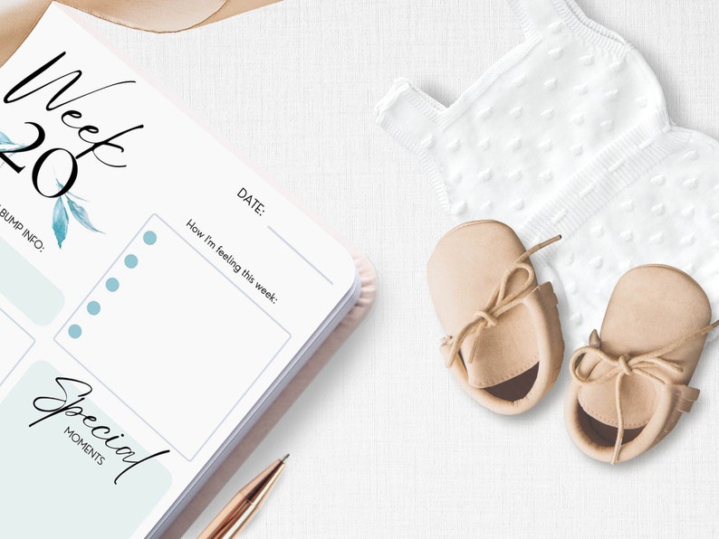 Weekly Pregnancy Planner, Printable Pregnancy Planner, INSTANT DOWNLOAD ...