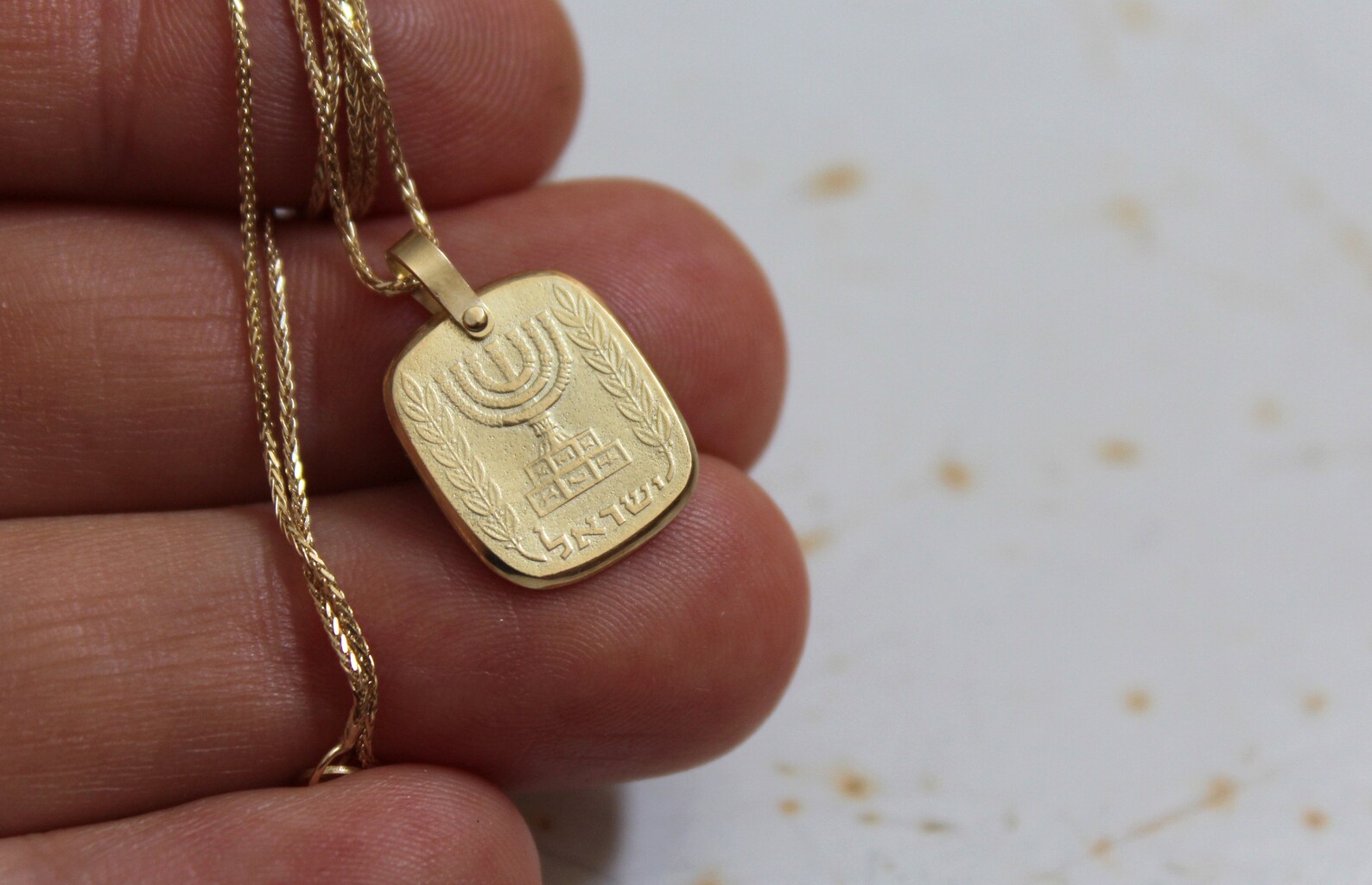 Emblem of Israel 14k Solid Gold Coin Necklace Israeli Menorah Pendant Made in Israel - Etsy