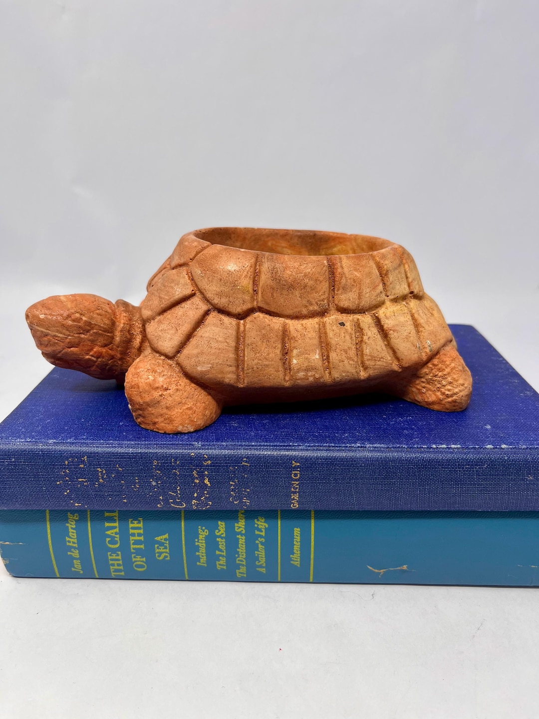Vintage Box Turtle Planter by Ron Allen/comanche Pottery - Etsy
