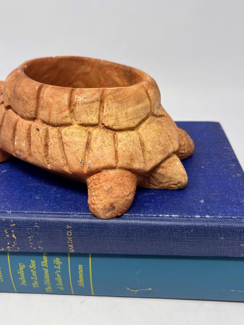 Vintage Box Turtle Planter by Ron Allen/comanche Pottery - Etsy
