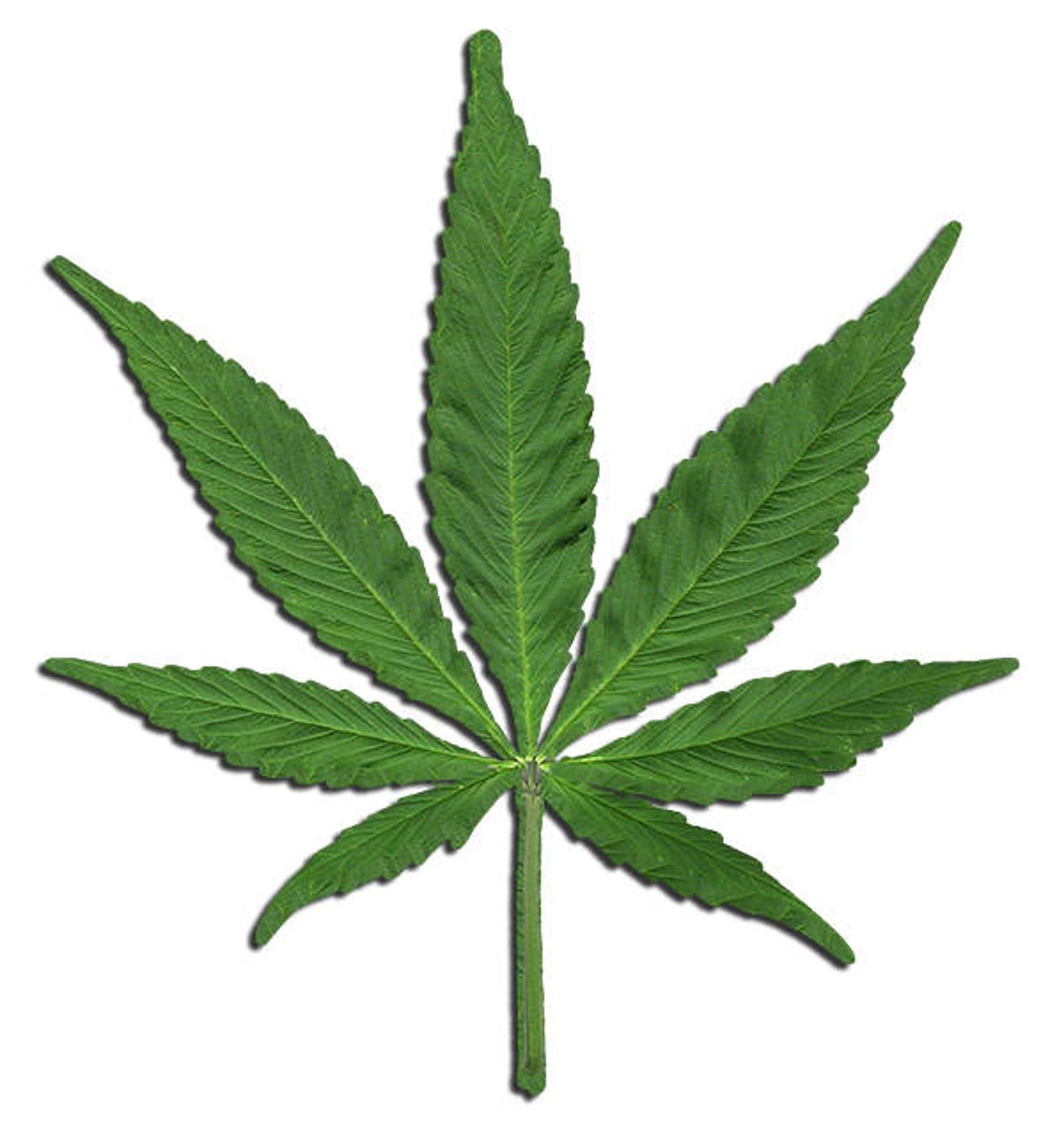 Cannabis Marijuana Leave Cut Out Pot Metal Sign 11.5 x | Etsy