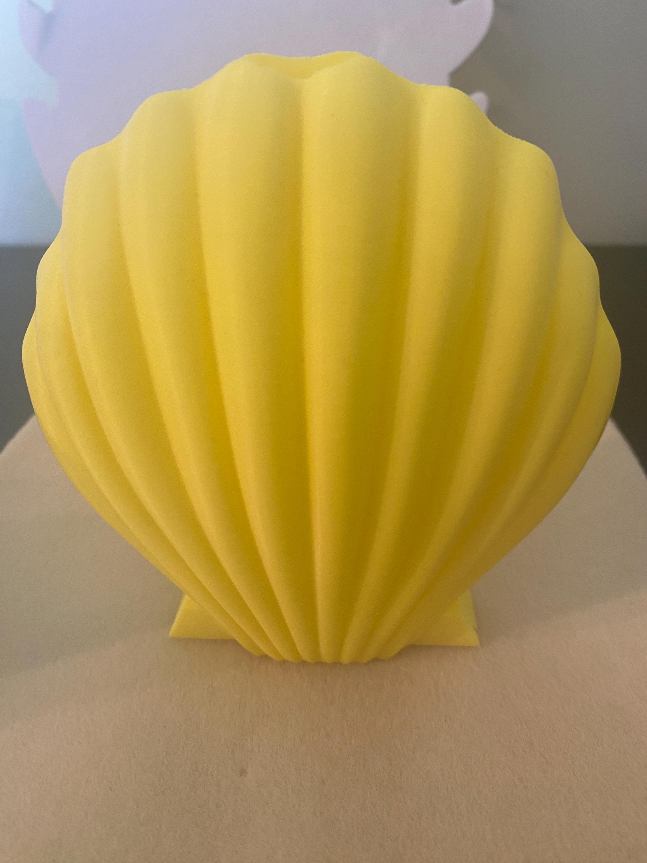 Plastic Decorative Hinged Plastic Clam Shell/gift, Trinket Box - Etsy