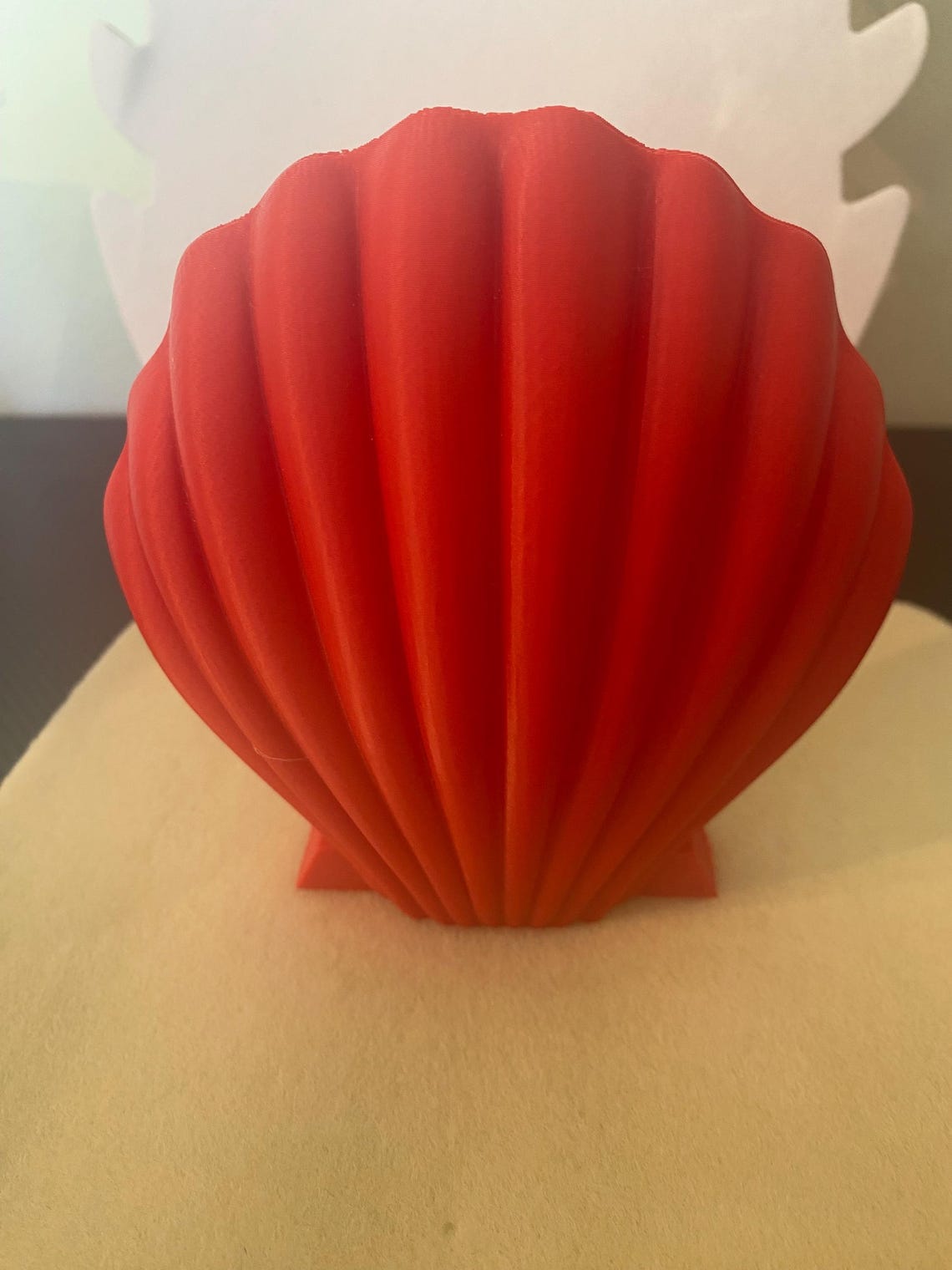 Plastic Decorative Hinged Plastic Clam Shell/gift, Trinket Box - Etsy