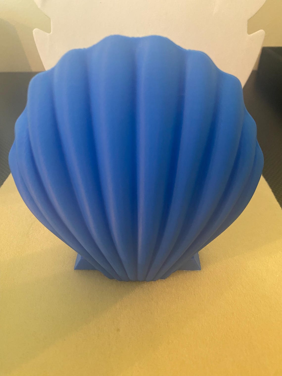 Plastic Decorative Hinged Plastic Clam Shell/gift, Trinket Box - Etsy