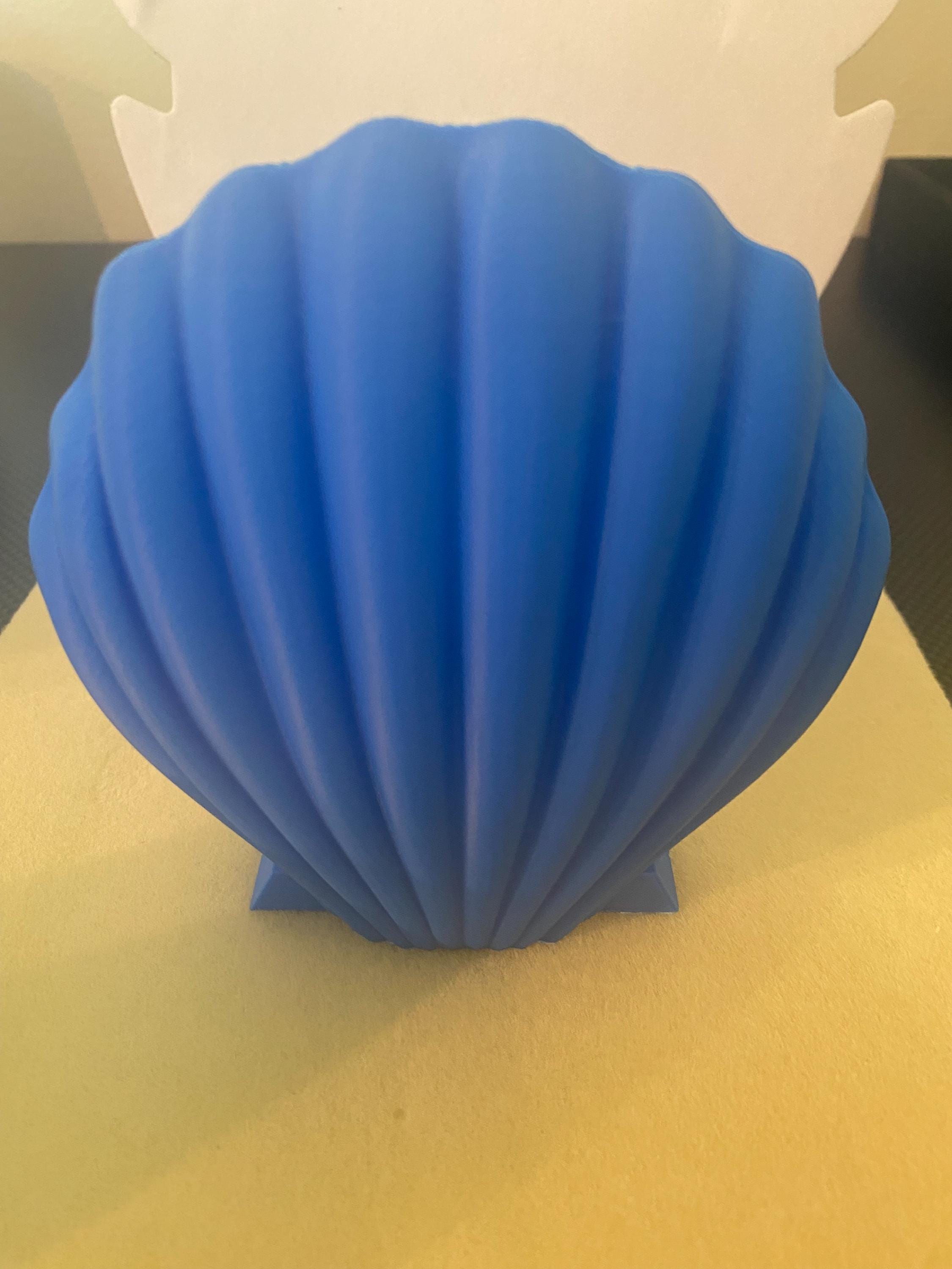 Plastic Decorative Hinged Plastic Clam Shell/gift, Trinket Box - Etsy