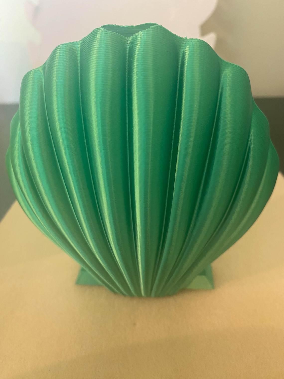 Plastic Decorative Hinged Plastic Clam Shell/gift, Trinket Box - Etsy