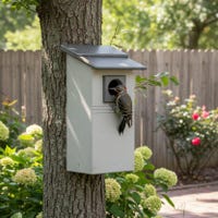 Northern Flicker Nest Box - Etsy