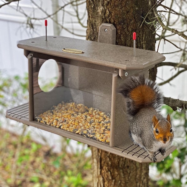 Covered Squirrel Feeder - Etsy