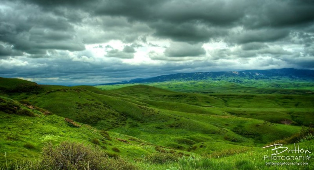 Nature Photography Print, Landscape Photo, Nature Wall Art, Green and ...