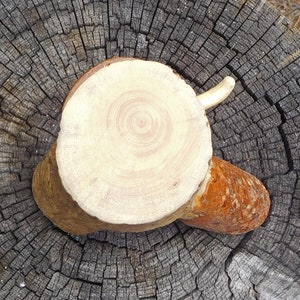 Rustic Pinon Canister With Magnetic Lid, 1/3 Cup Capacity, Unique Wood ...