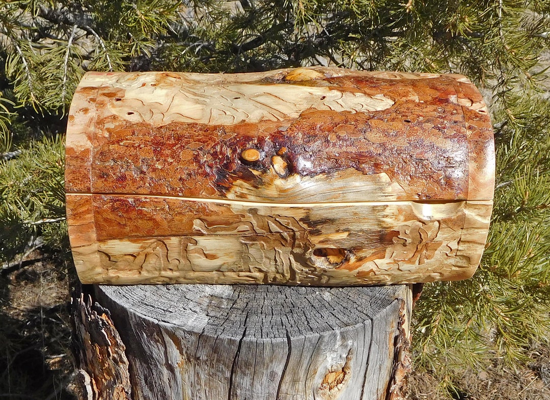 Pinon Log Box With Hinged Lid and Polyurethane Finish, Small Chest Made ...