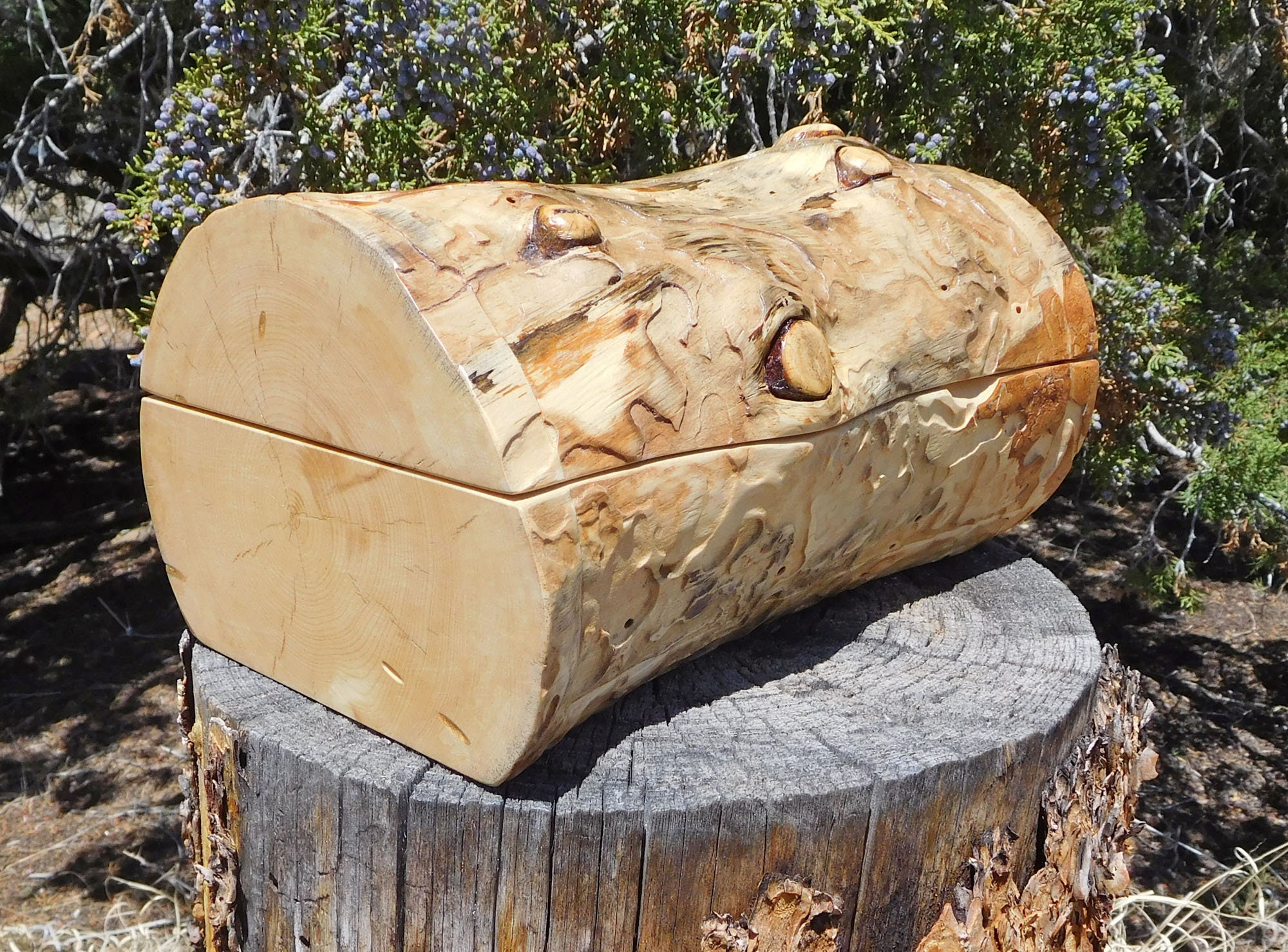 Pinon Log Box With Hinged Lid and Polyurethane Finish, Small Chest Made ...