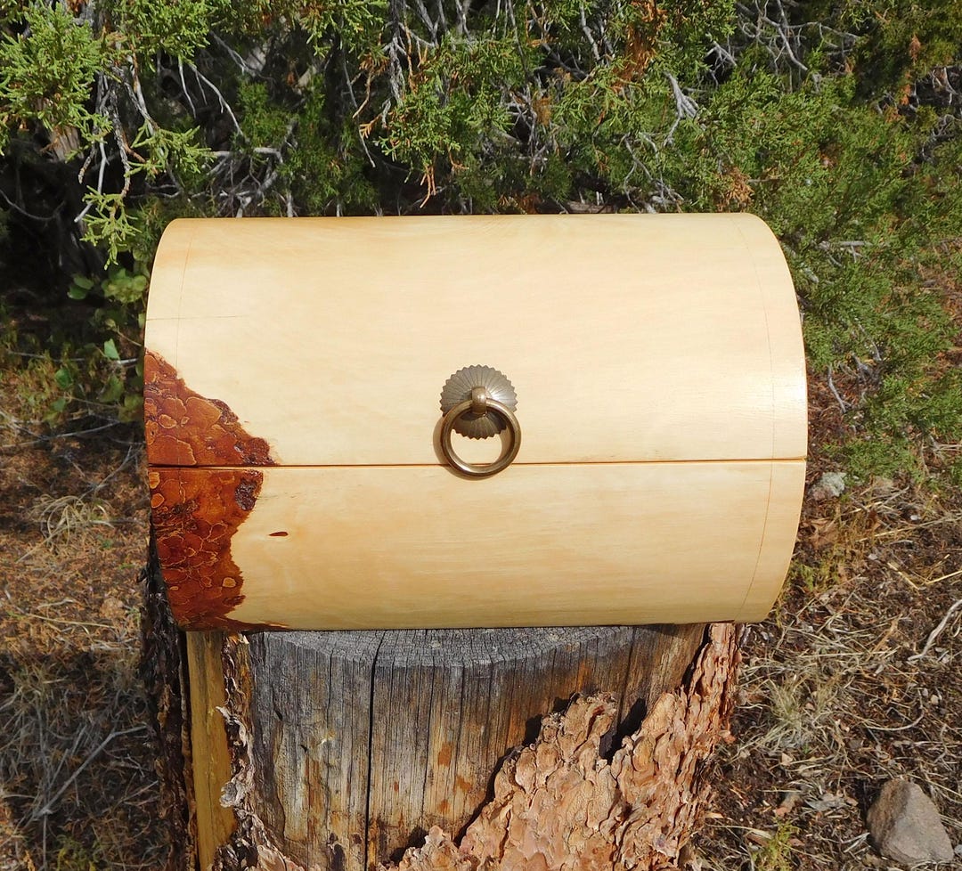 Large Pinon Log Box With Hinged Lid and Polyurethane Finish, Bandsaw ...