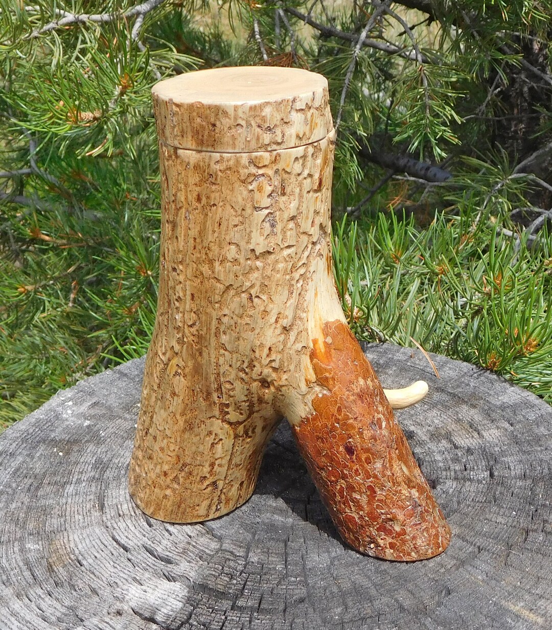 Rustic Pinon Canister With Magnetic Lid, 1/3 Cup Capacity, Unique Wood ...