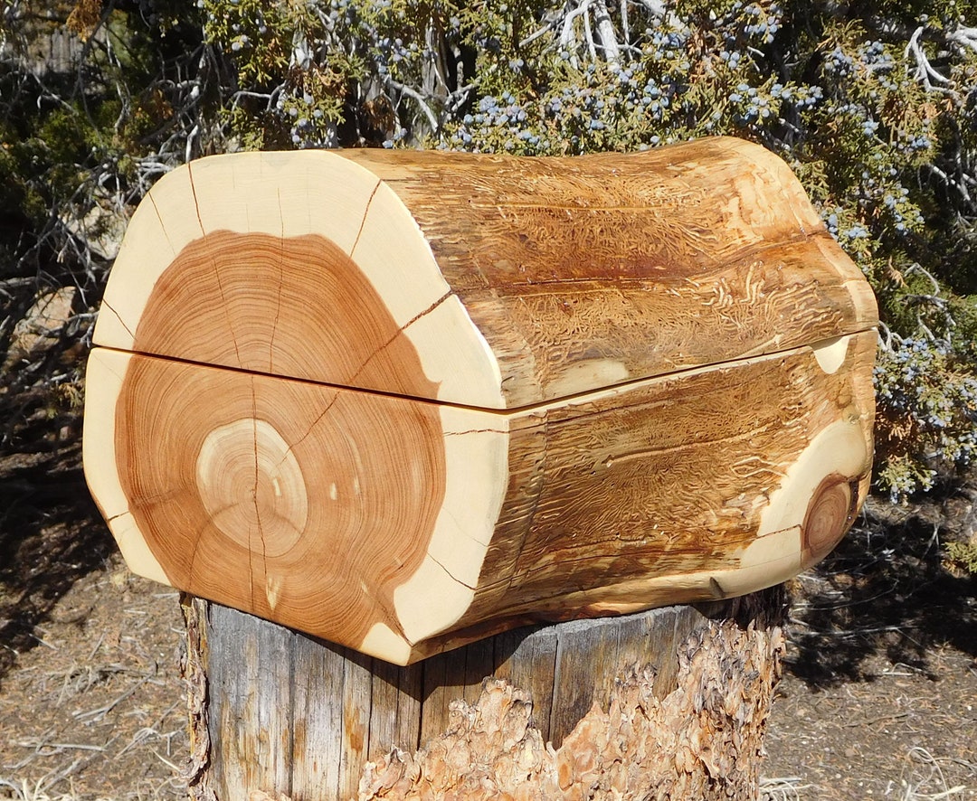 Red Cedar Log Box With Hinged Lid, Live Edge Box, Bandsaw Box, Stash ...
