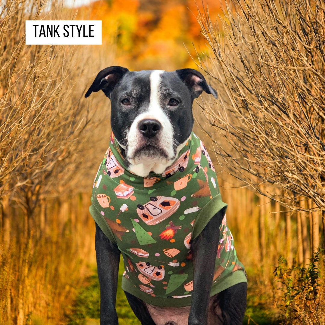 Matching Dog and Owner Outfit, Fall Dog Shirt, Halloween Dog Shirt ...