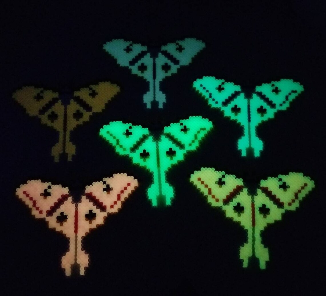 Luna Moth glow in the Dark | Etsy