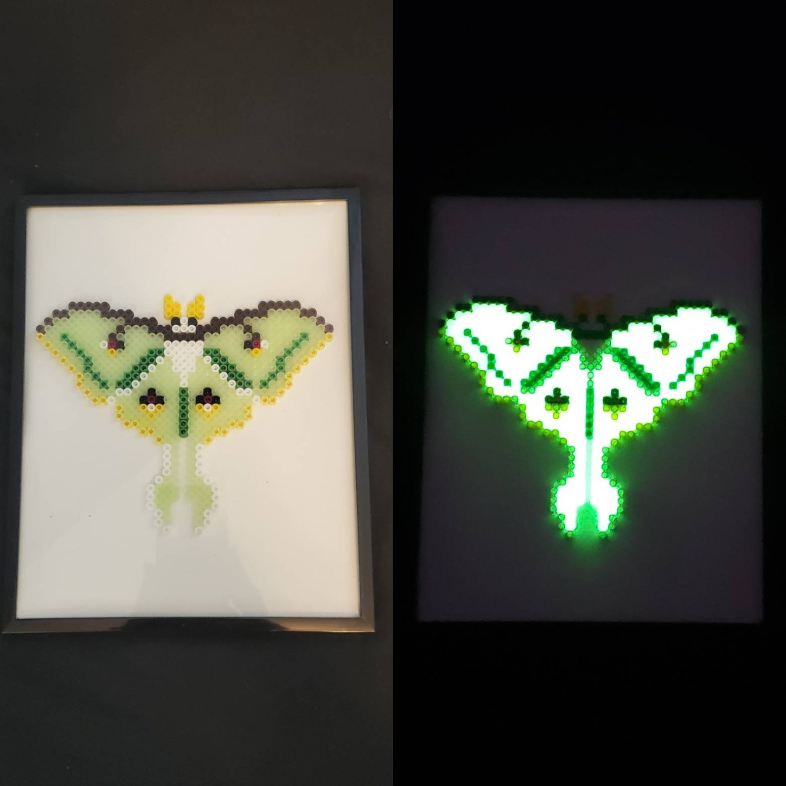 Luna Moth glow in the Dark - Etsy