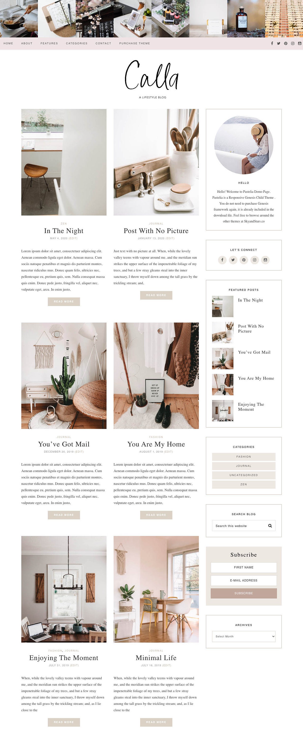 Pastel Feminine Wordpress Theme - Pink Wordpress Template - Genesis ...