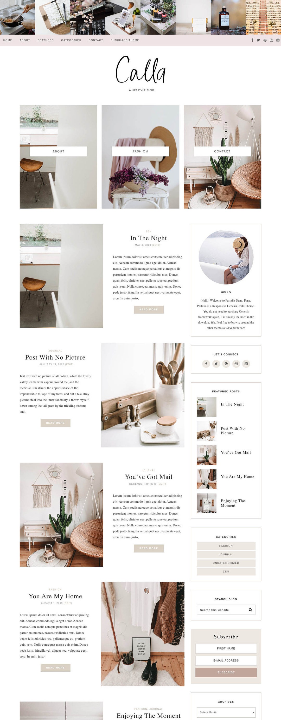 Pastel Feminine Wordpress Theme Pink Wordpress Template Genesis Child ...
