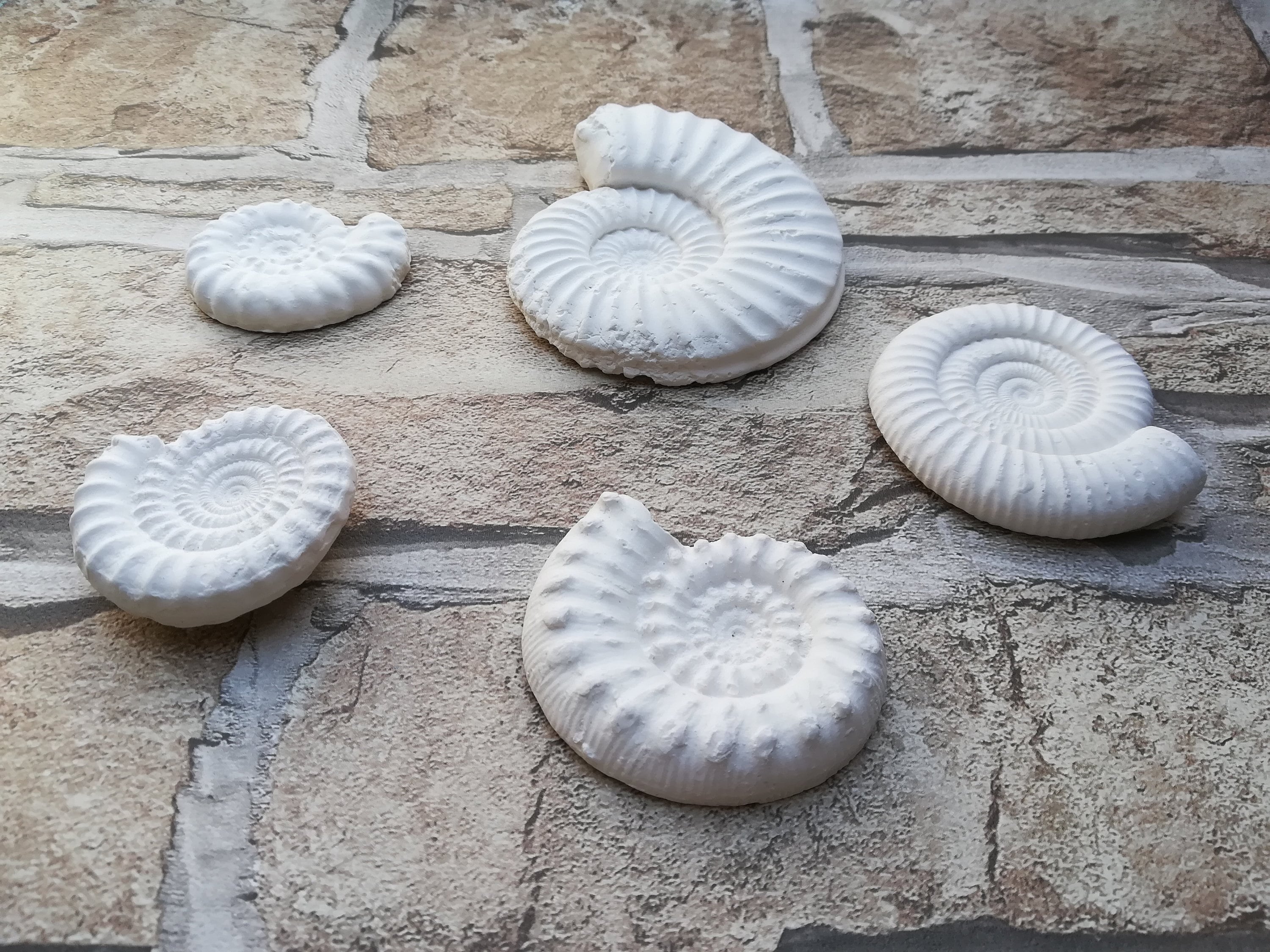 Plaster Cast Ammonites Paint Your Own Jurassic Fossils Cast Moulds Fun ...