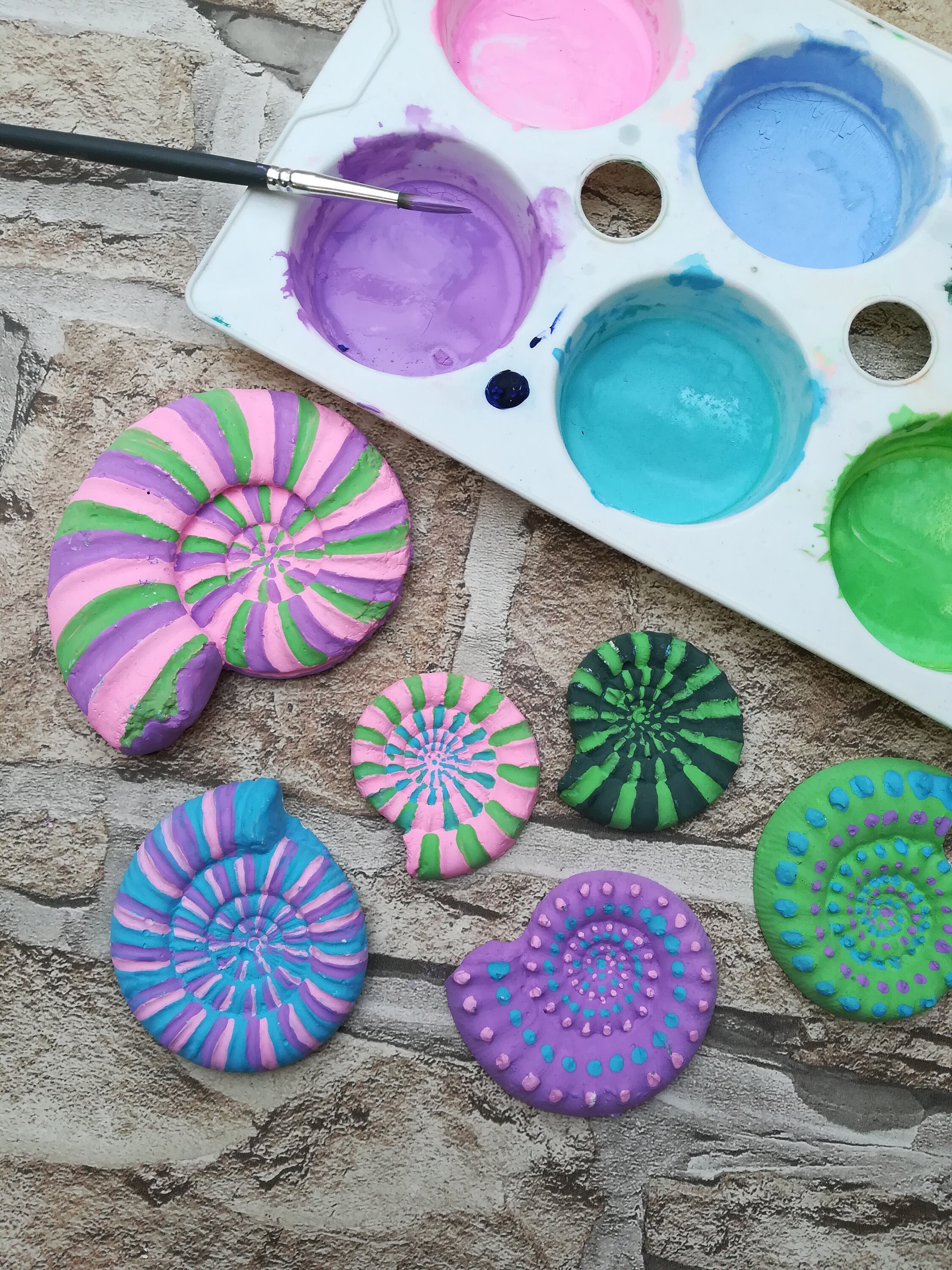 Plaster Cast Ammonites Paint Your Own Jurassic Fossils Cast Moulds Fun ...