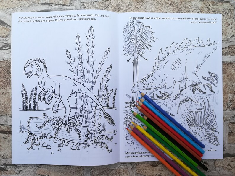 Digital Download - Dinosaur Colouring Book Pages - Prehistoric Jurassic ...