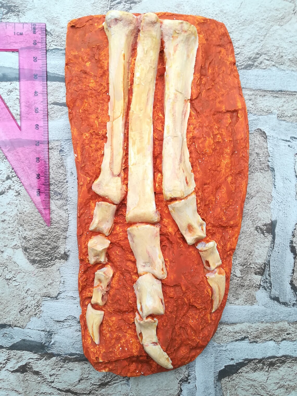 Fossil Replica Dinosaur Foot Plaster Cast Jurassic Decorative - Etsy