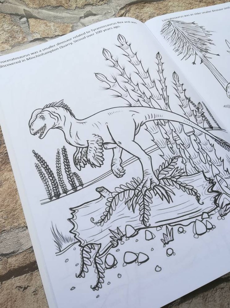 Digital Download - Dinosaur Colouring Book Pages - Prehistoric Jurassic ...