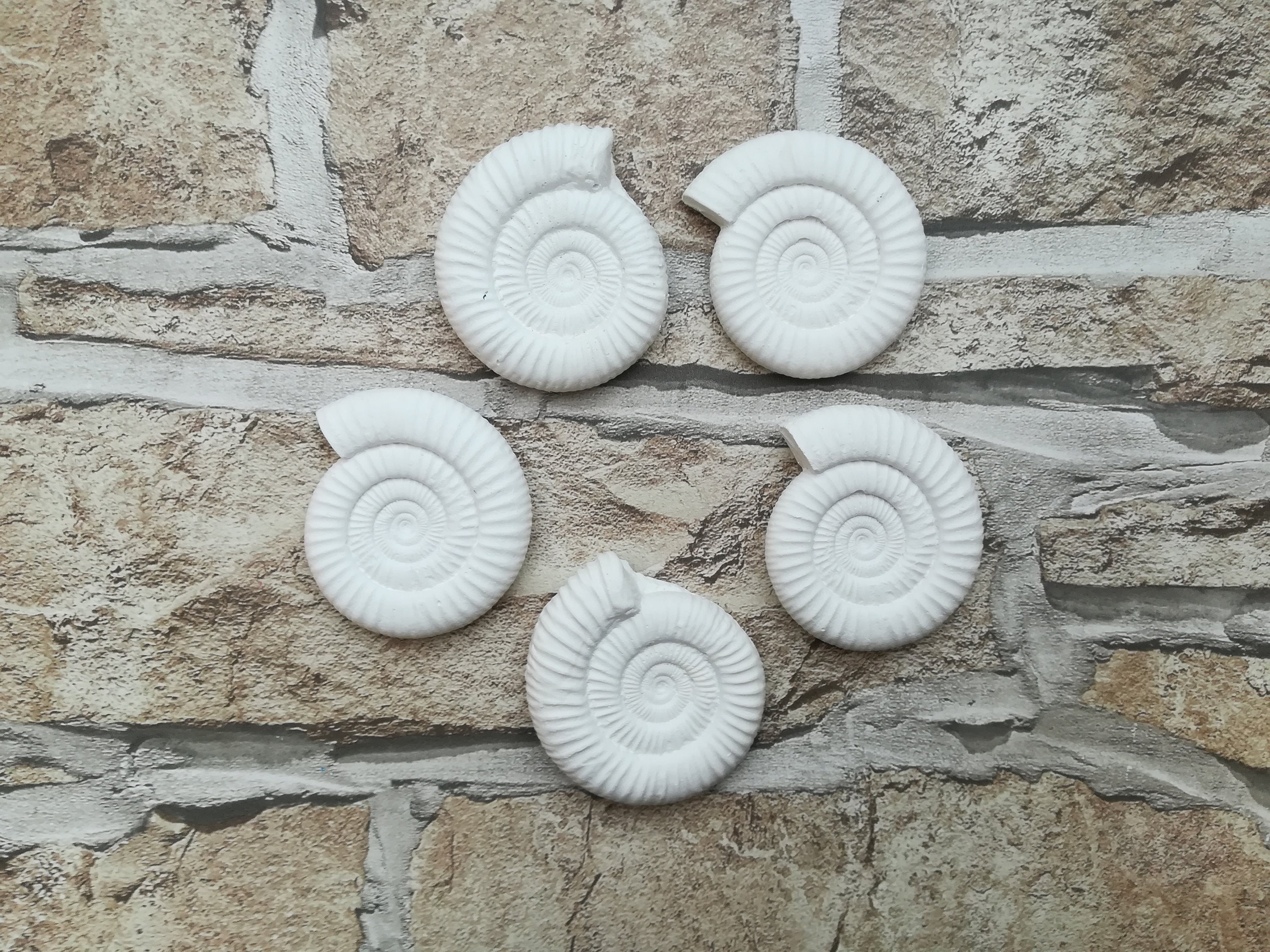 Set of Five Medium Plaster Cast Fossil Ammonites Paint Your Own ...