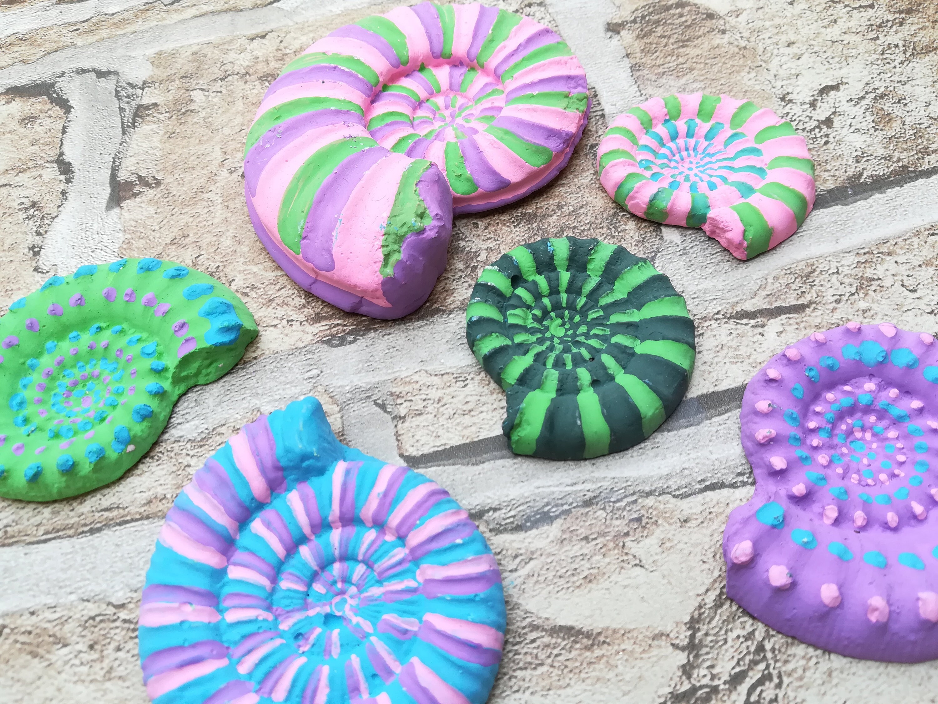 Plaster Cast Ammonites Paint Your Own Jurassic Fossils Cast - Etsy UK