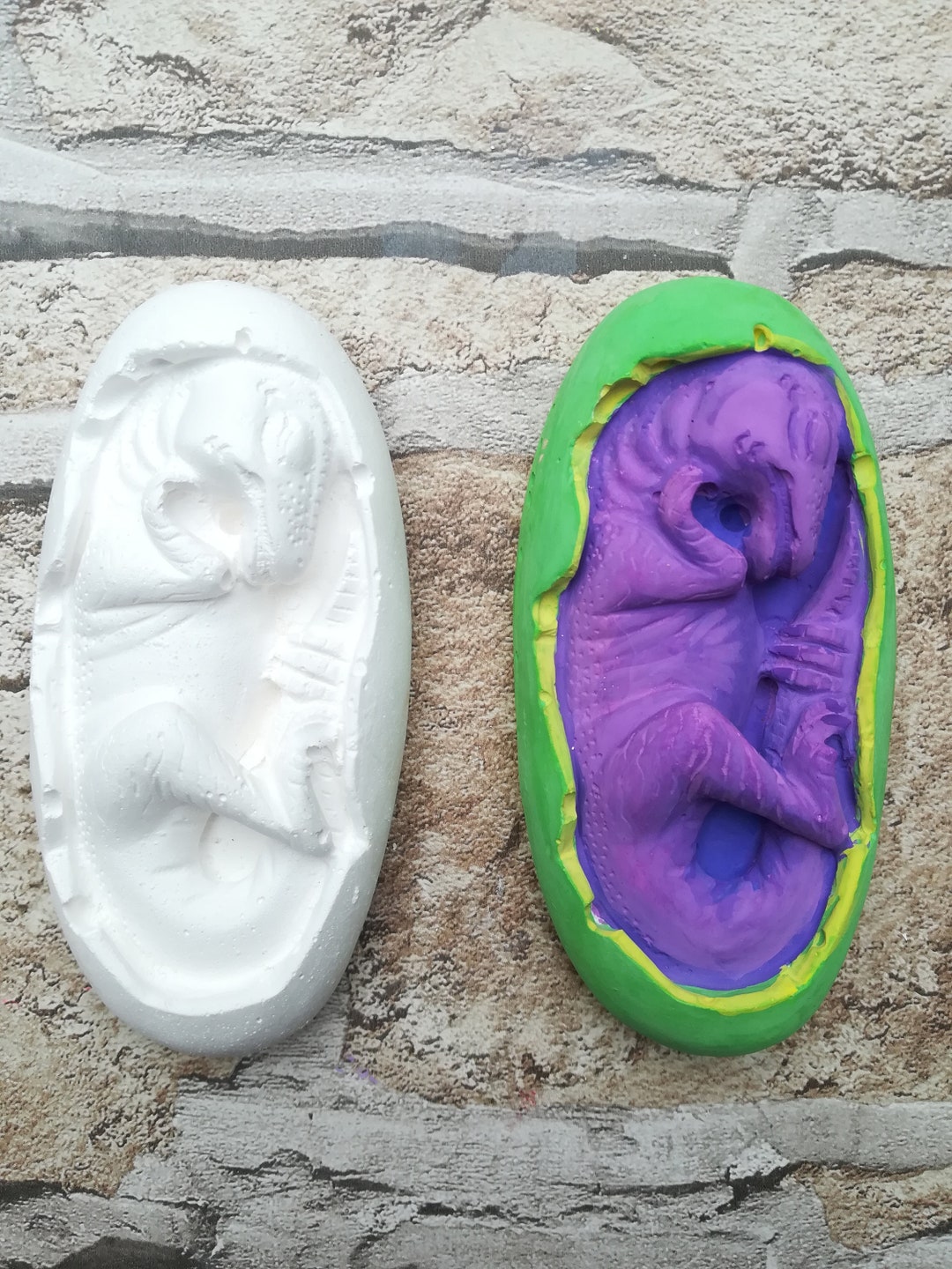 Baby Dinosaur Paint Your Own Plaster Cast Fossil Rainy Day - Etsy