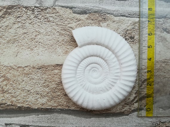 Cast Fossil