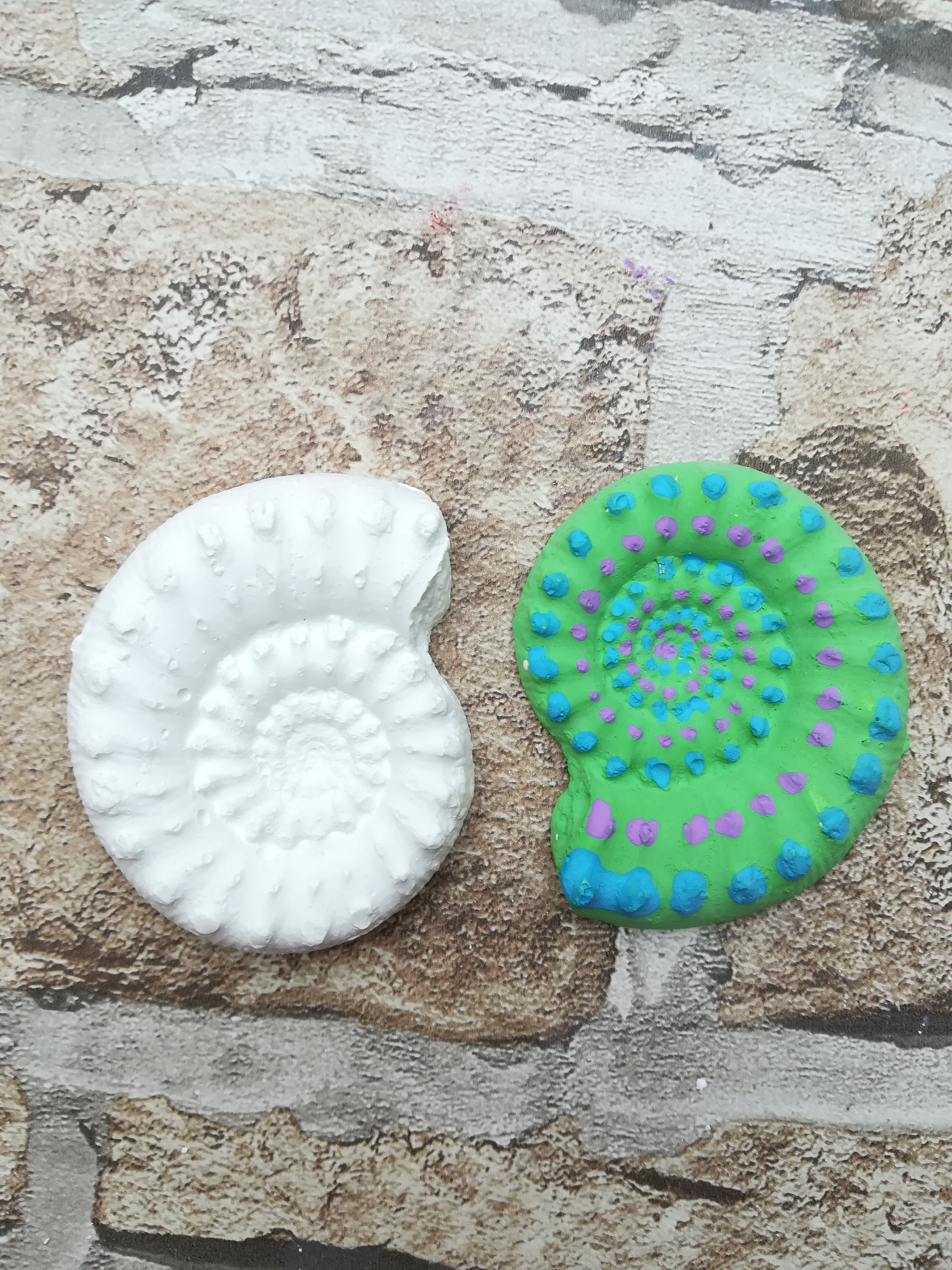Plaster Cast Ammonites Paint Your Own Jurassic Fossils Cast Moulds Fun ...